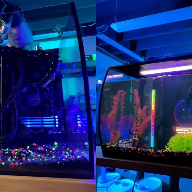 Fish Tank Project – Overkill Gaming